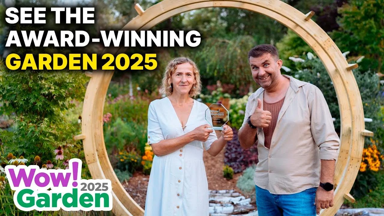 Wow!Garden Showdown – Who Has the Most Gorgeous Backyard? - YouTube