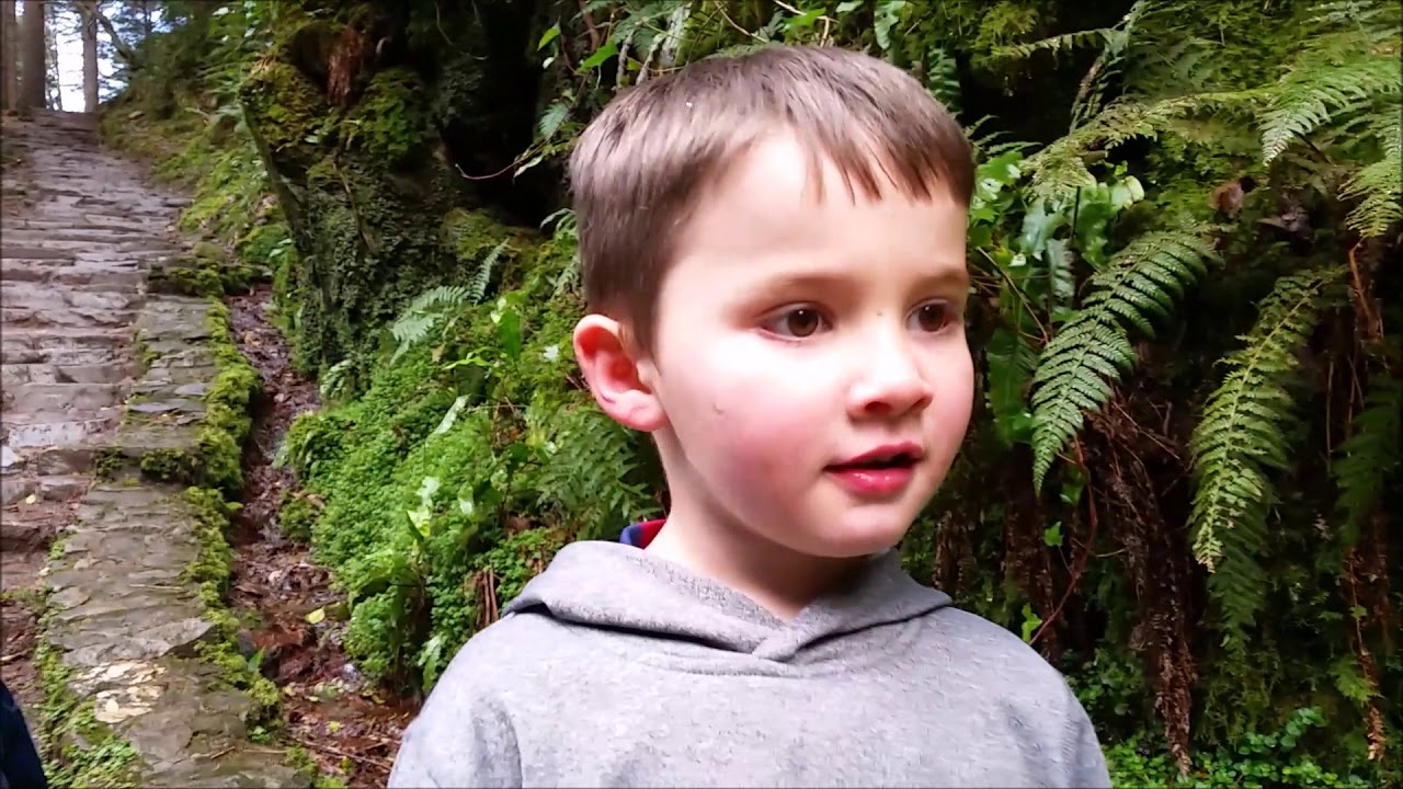 Song of Ireland live Tig Coili Pub- Galway, Ireland - YouTube