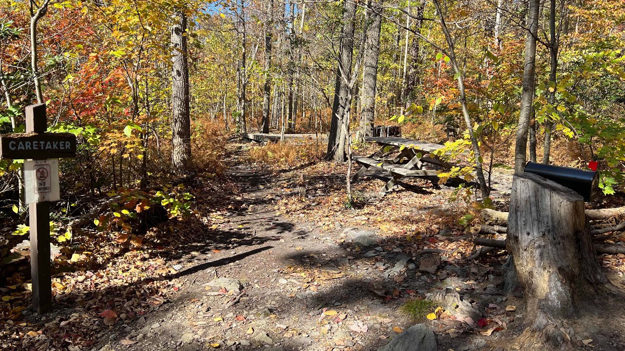 Dahlgren Campground to Pogo Campsite - YouTube