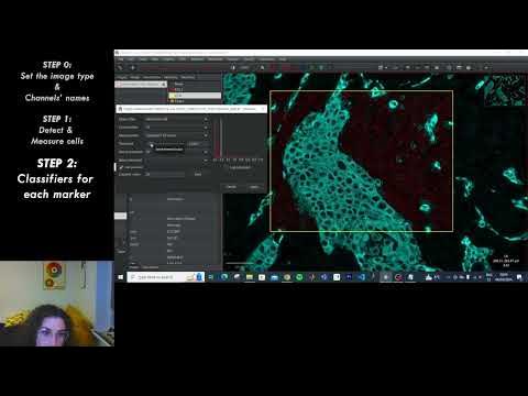 How to do Multiplexed Analysis using Qupath - YouTube
