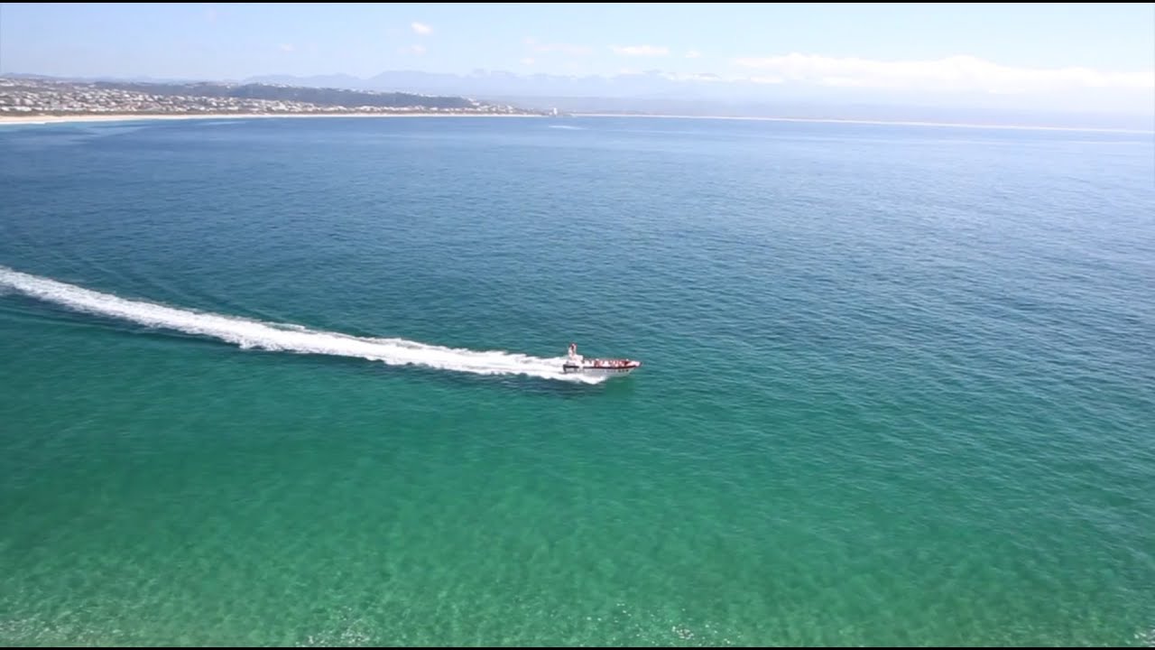 Plett Summer Festival - Plett it's a feeling! - YouTube