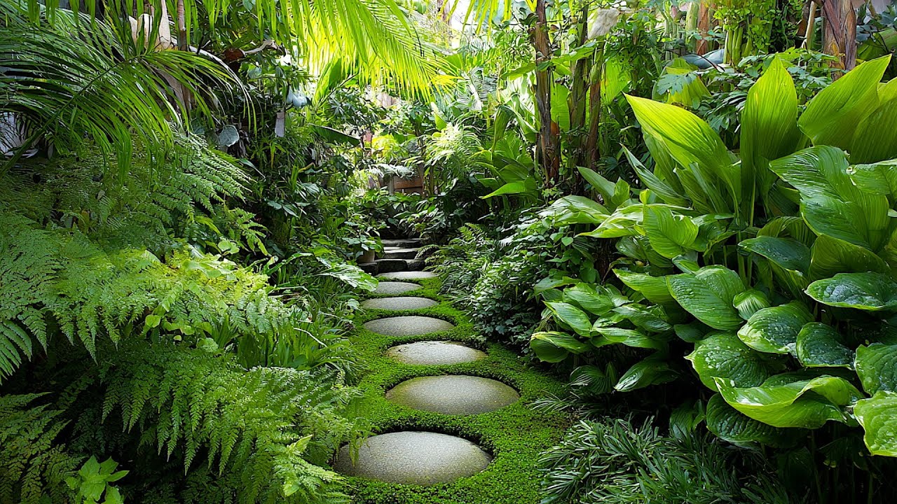 Turn Your Backyard into an Oasis: Greenery and Relaxation Corner ...