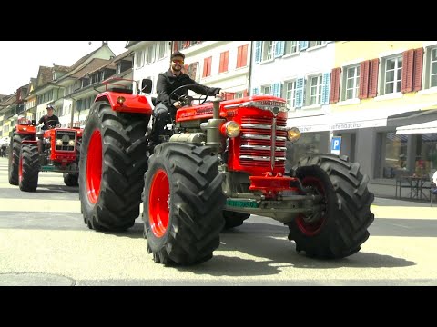 Old Hürlimann Tractors: Extraordinary Swiss History on the Road in Willisau
