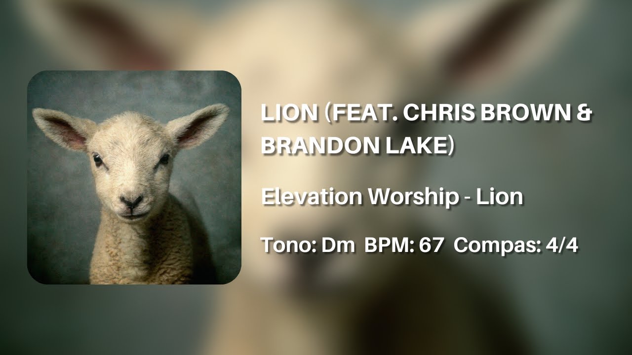 LION (feat. Chris Brown & Brandon Lake) - Elevation Worship 🎧 ...
