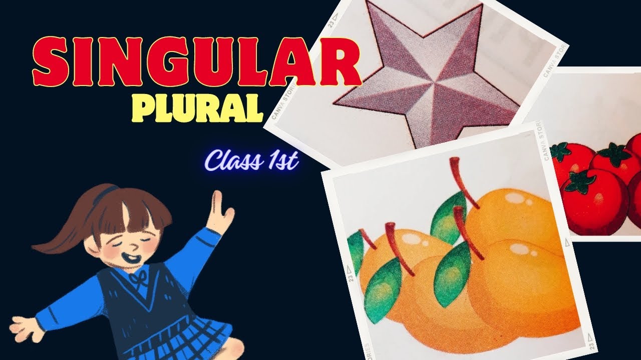 singular noun and plural noun/class 1st/one and many.. - YouTube