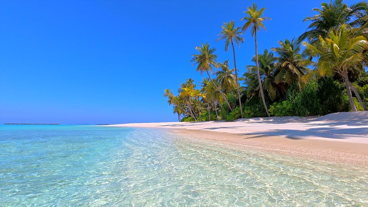 🏝 Paradise Found: Wild Beach and Crystal Ocean Waters. Relaxing Ocean ...