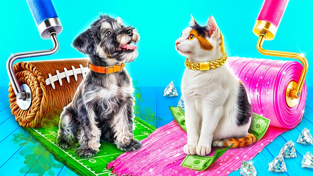 We Build a Secret Rooms for Pets! Poor Dog vs Rich Cat! - YouTube
