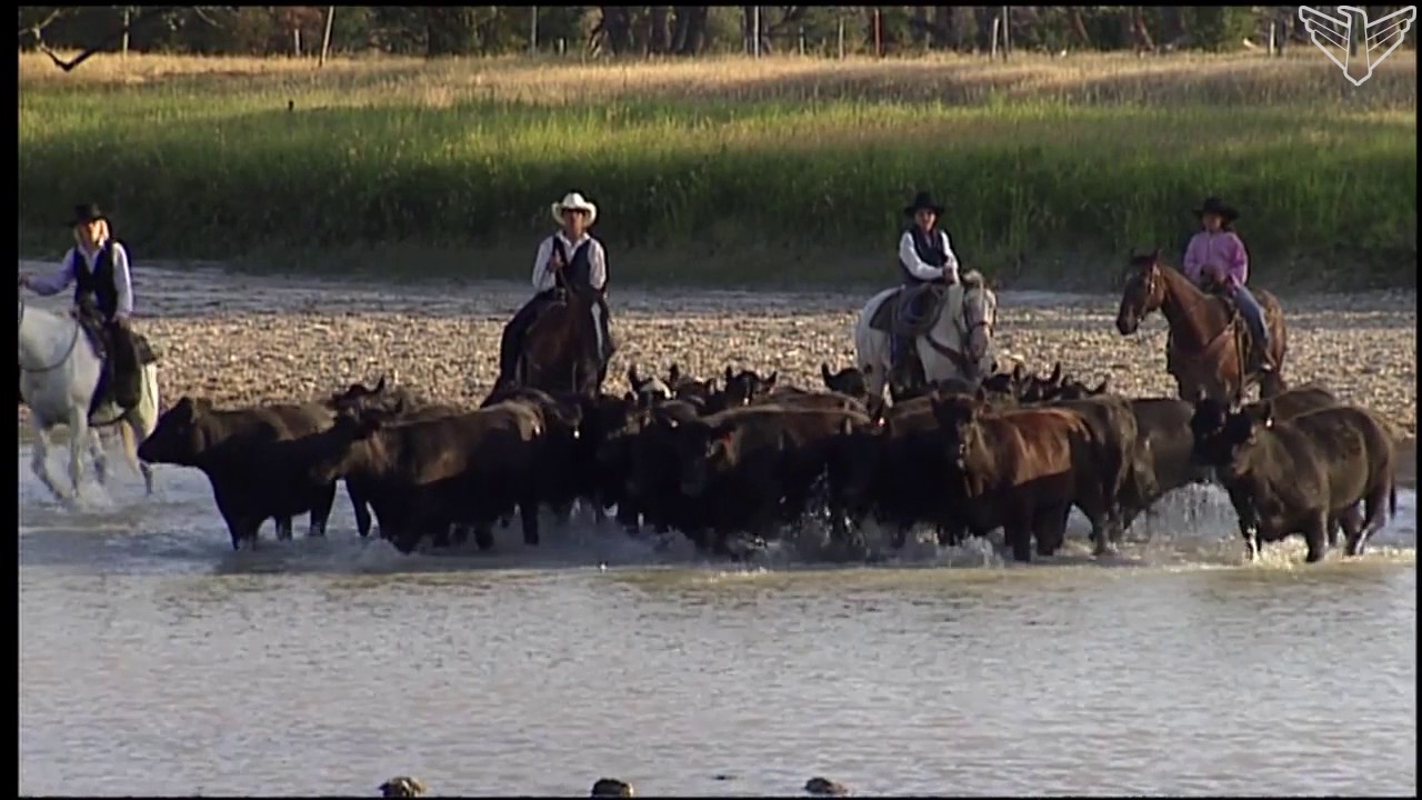 Cowboys of the Open Range - YouTube