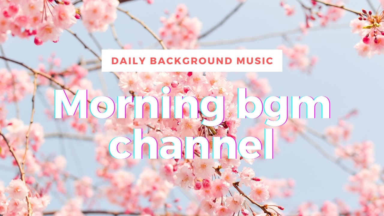 🎵 BGM 따스한 봄날의 벗꽃 음악 Morning Music BGM Channel - YouTube