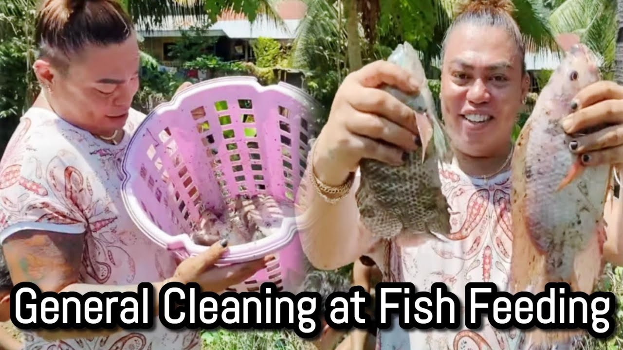 General cleaning at fish feeding sa Farm. - YouTube