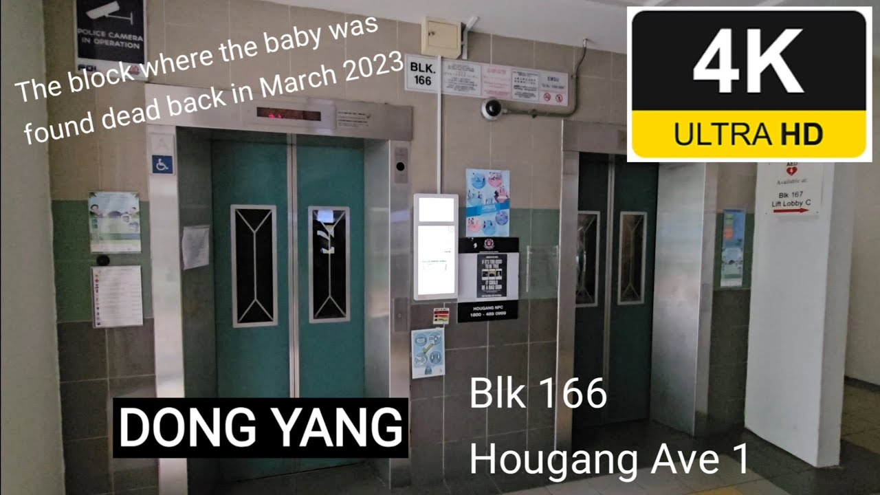 Dong Yang lifts at Blk 166 Hougang Ave 1 - YouTube