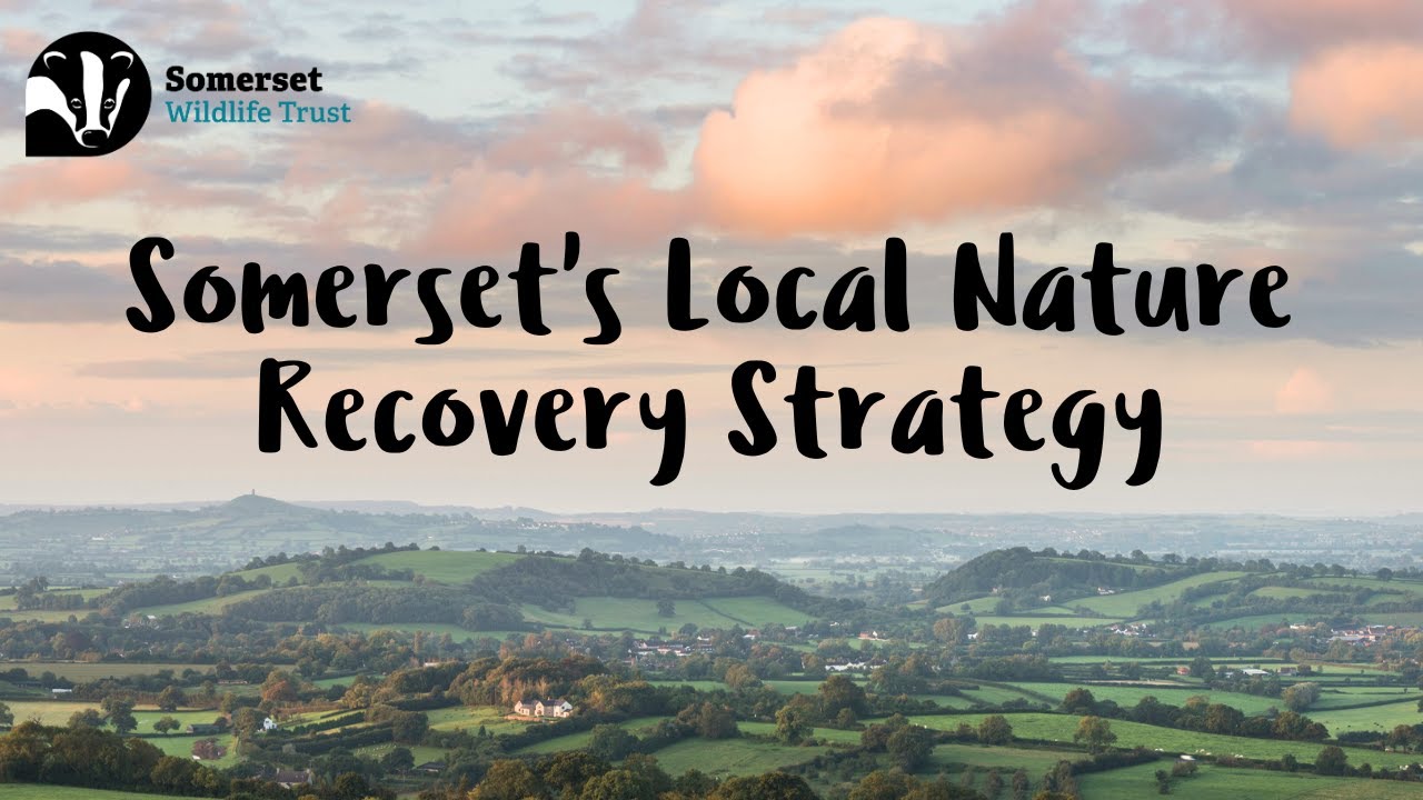 Somerset's Local Nature Recovery Strategy (LNRS) - YouTube
