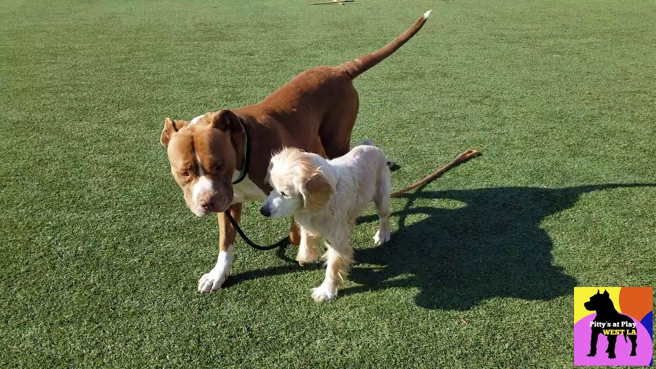 "Mason & Little" processed - YouTube