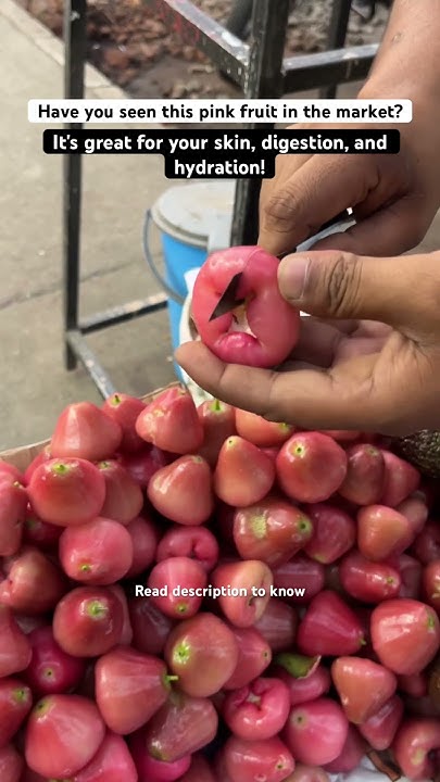 Pink java apple benefits! Water apple. #nutritwin #shortsindia # ...