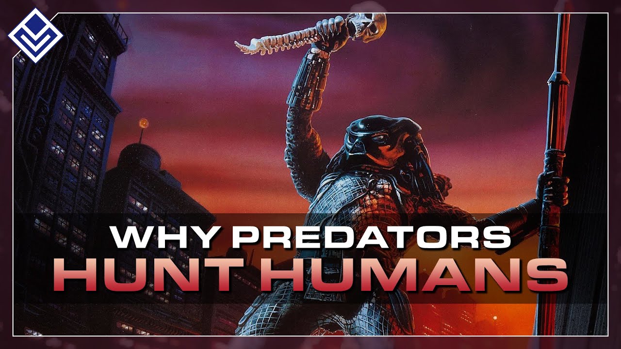 Why Do Predators Prefer Hunting Humans? | Predator - YouTube