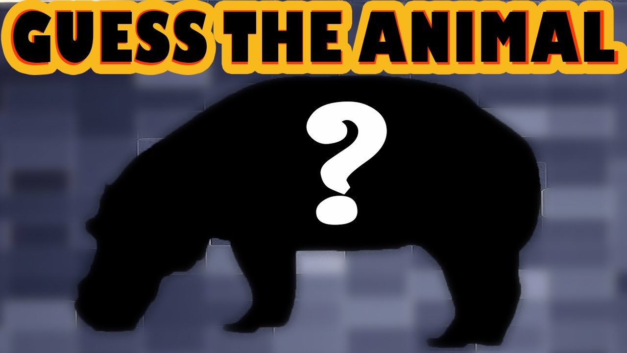 Can You Guess the Animal Quiz#2 | Guess the Animals Shadow | Animal ...