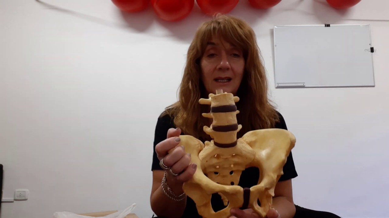 MOVIMIENTOS INTRÍNSECOS DE LA PELVIS: NUTACIÓN Y CONTRANUTACIÓN - YouTube