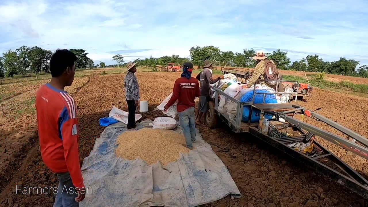 farmers Asean Get started Generate Agriculture - YouTube