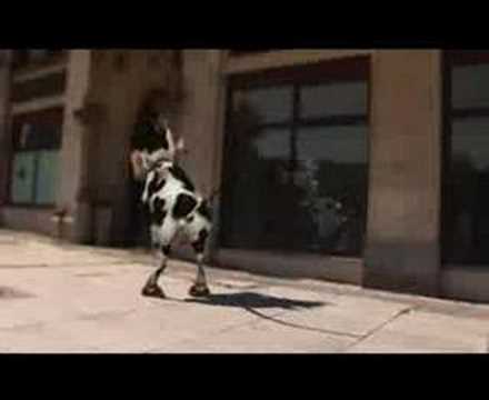 dancing cow - YouTube
