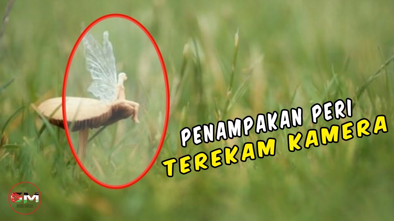 Penampakan Peri Terbang !!! Inilah 6 Penampakan Peri Terekam Kamera ...