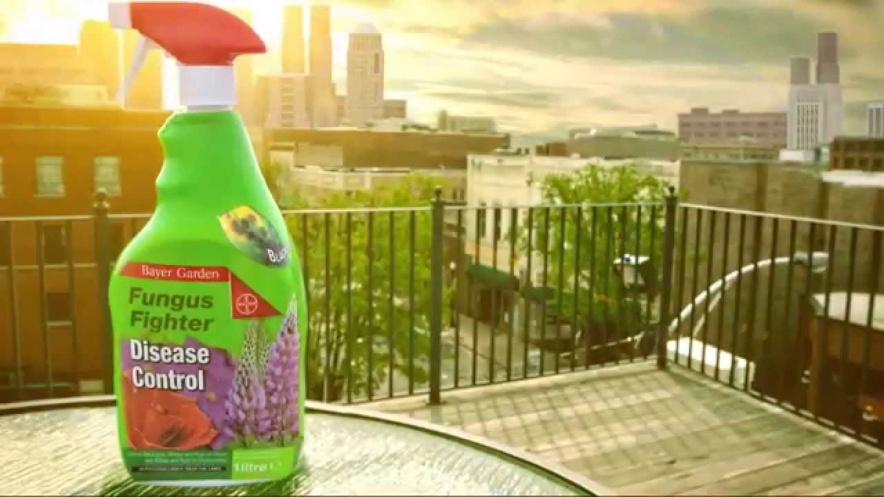 Bayer Garden Ready to Use Sprays - YouTube