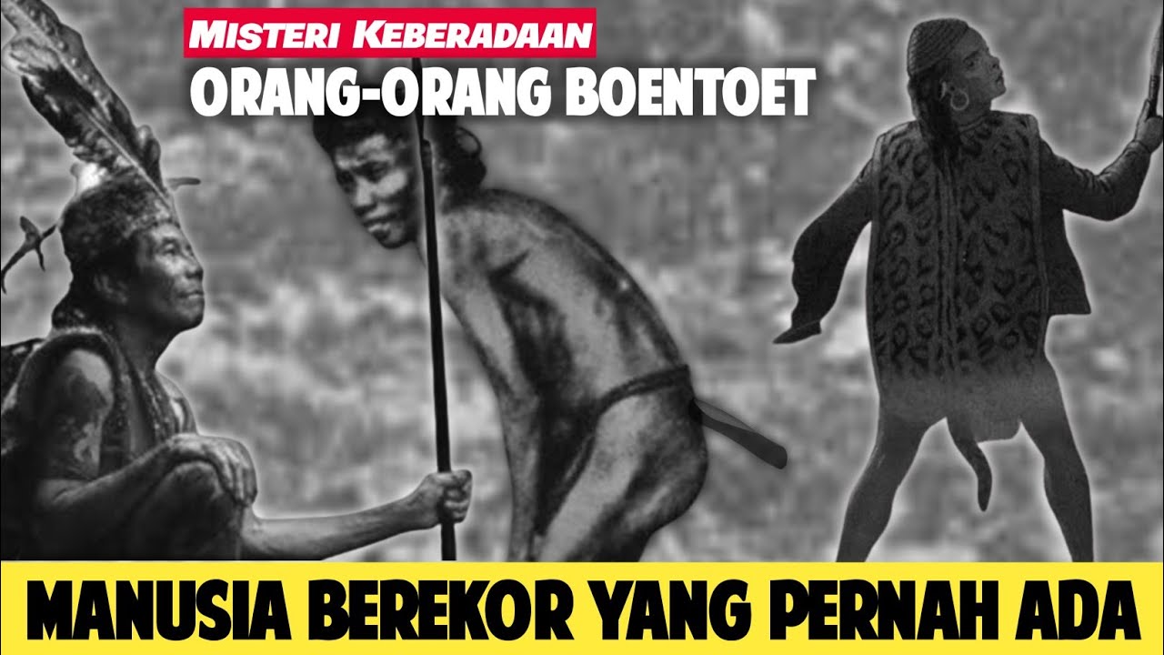 Orang Boentoet Manusia Berekor yang Pernah Ada di Kalimantan - YouTube