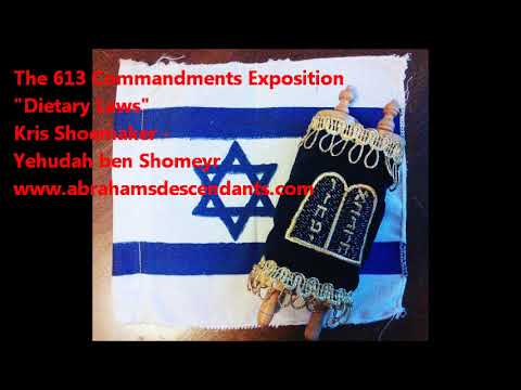 The 613 Commandments Exposition: Dietary Laws - YouTube