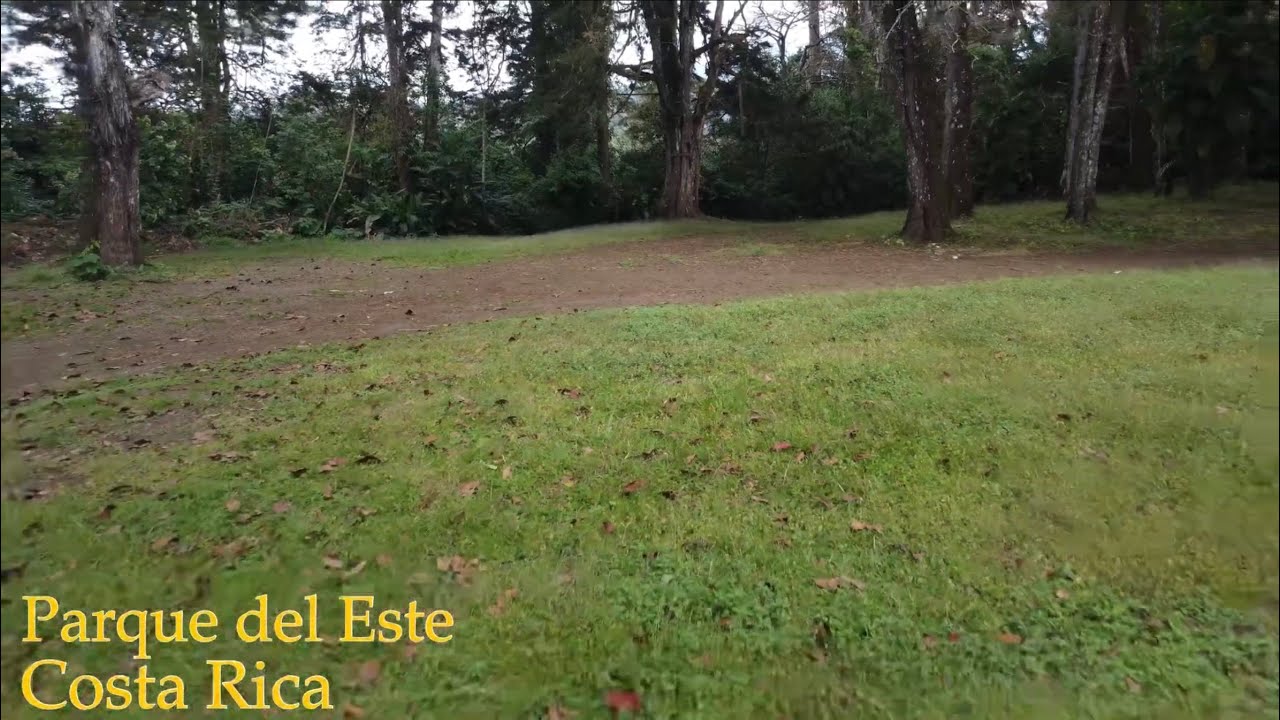 Parque del Este, San Jose, Costa Rica | DJI Mini 2 - YouTube