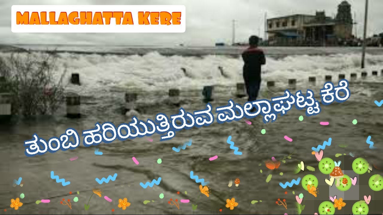mallaghatta kere 💧 in all angles view over flow on bridge 🌉 ಮಲ್ಲಾಘಟ್ಟ ...