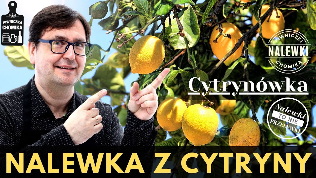 Cytrynówka, czyli orzeźwiająca nalewka z cytryny. Jedna z moich ...
