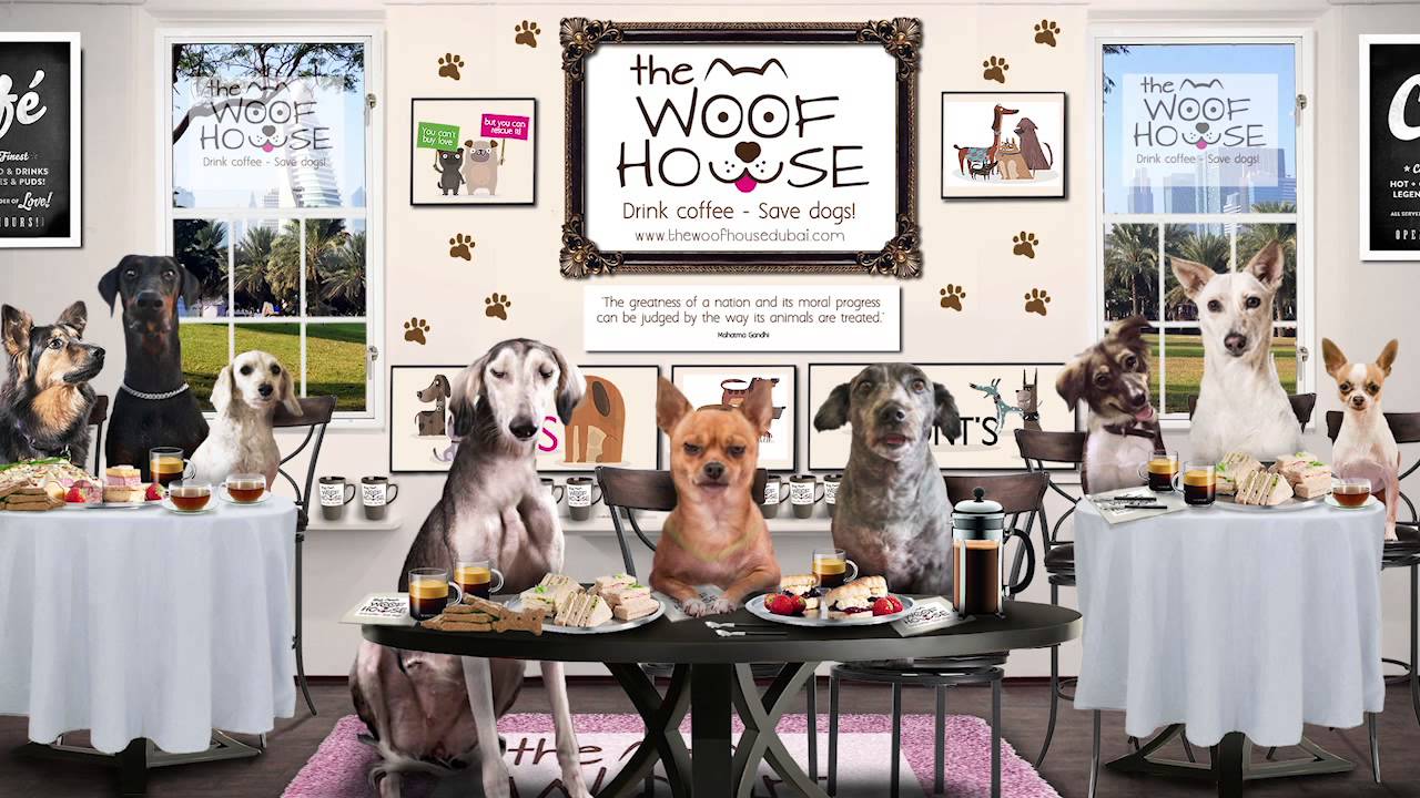 THE WOOF HOUSE DUBAI COMMERCIAL - YouTube