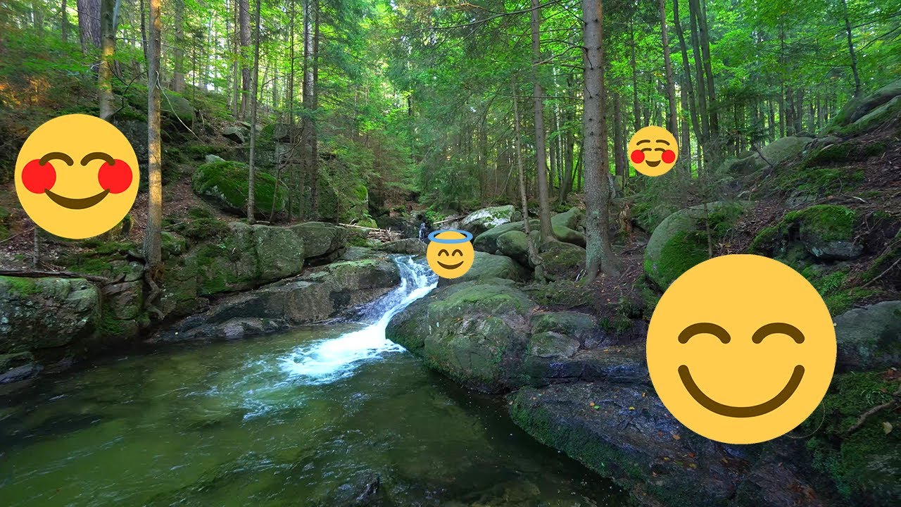 Laughter Yoga in the Forest | With Relaxation Music - YouTube