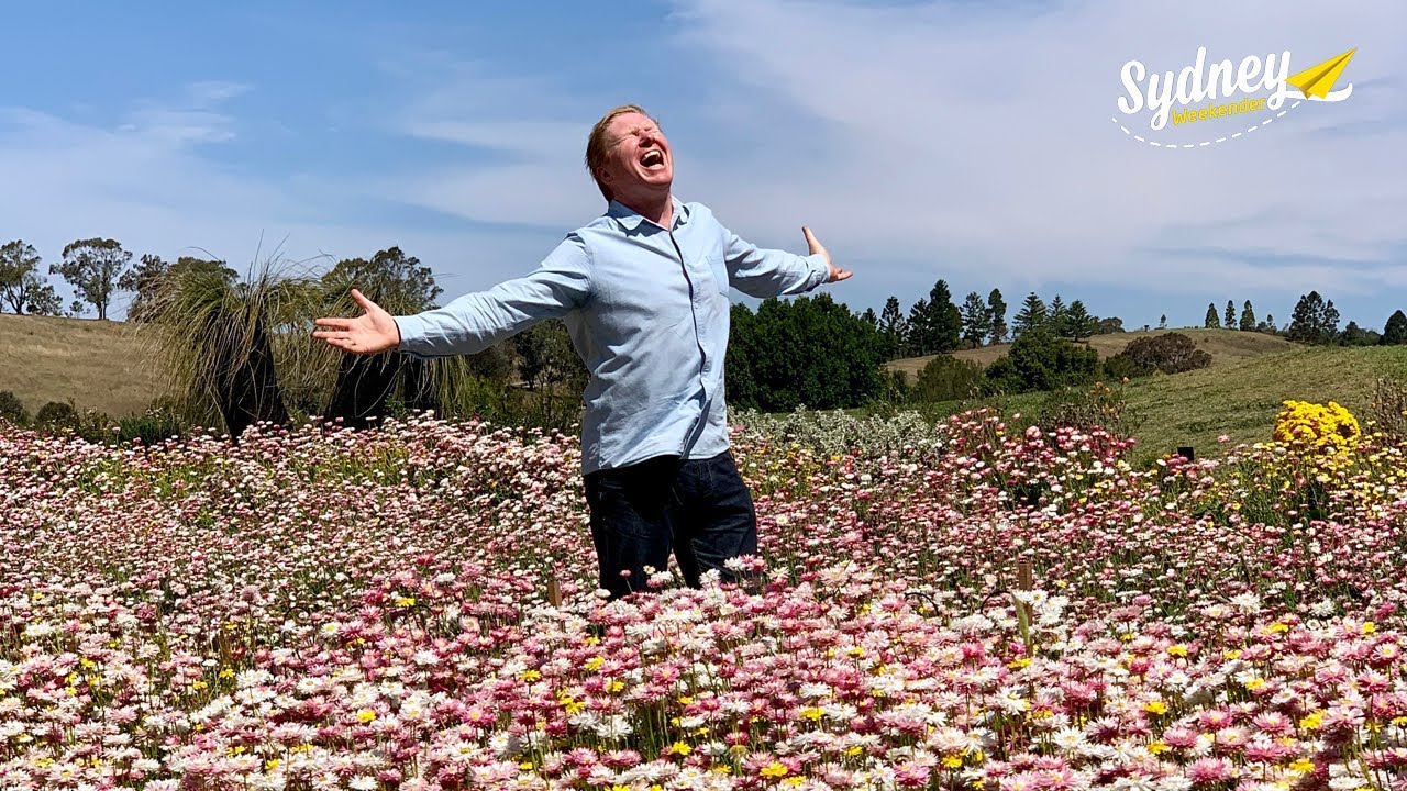 Explore the Australian Botanic Garden Mt. Annan | Sydney Weekender ...