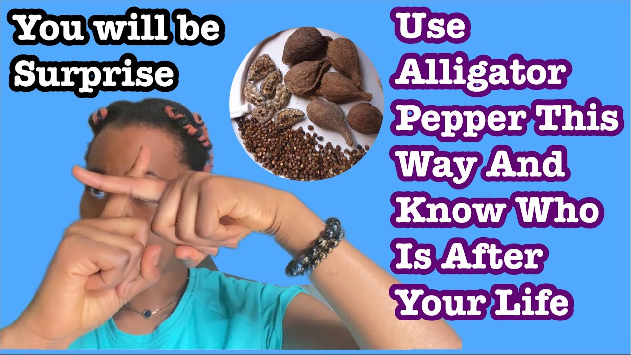 Simple Tip On How You Will Know Who Is After Your Life Using Alligator ...