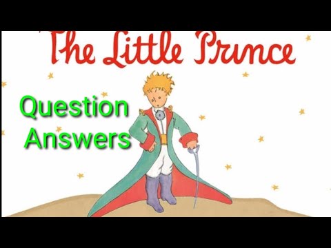 The Little Prince question and answers - YouTube