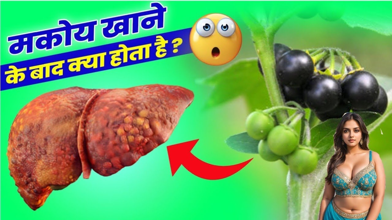 Makoy Khane Ke Fayde | सेहत के लिए संजीवनी | Liver, Skin, और Immunity के लिए फायदेमंद! - YouTube