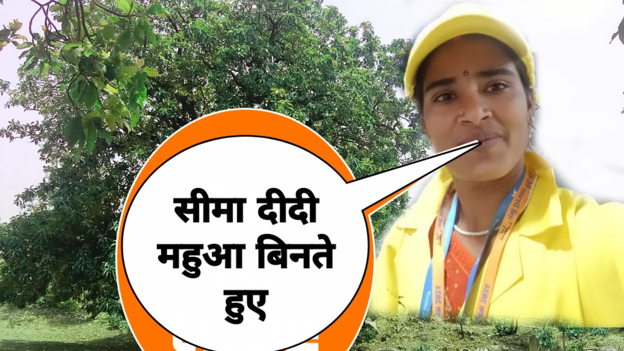 महिला समूह कि दिदीयां महुआ बिनते हुए।#simadidi vlog Mahila samuh group ...