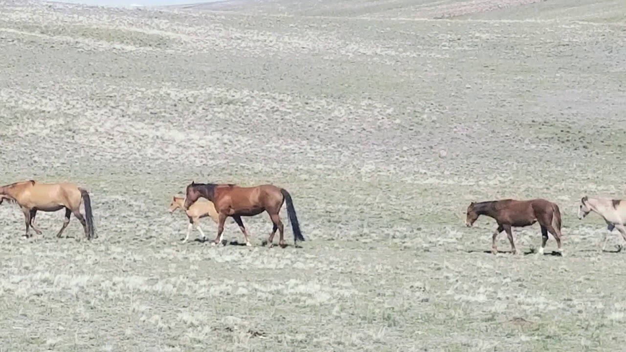 Our Debt Free Land in Hartsel, CO - YouTube