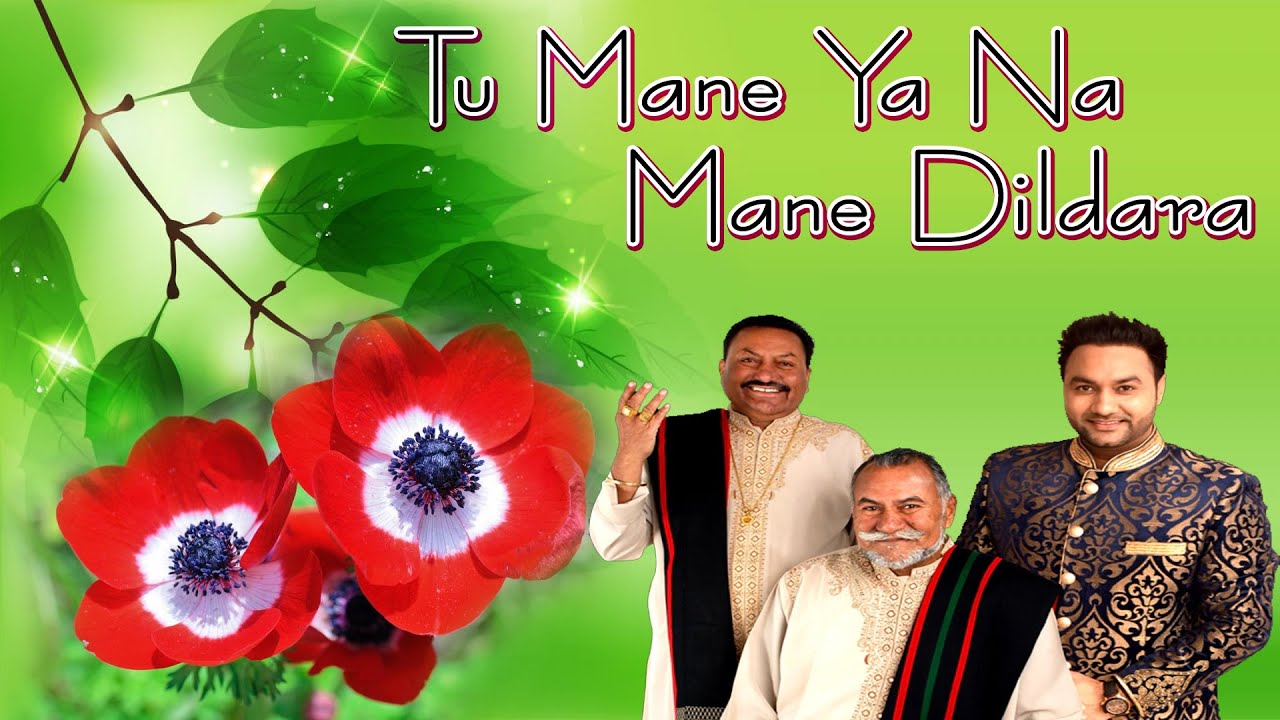 Tu Mane Ya Na Mane Dildara Wadalibrothers Sadabaharsong