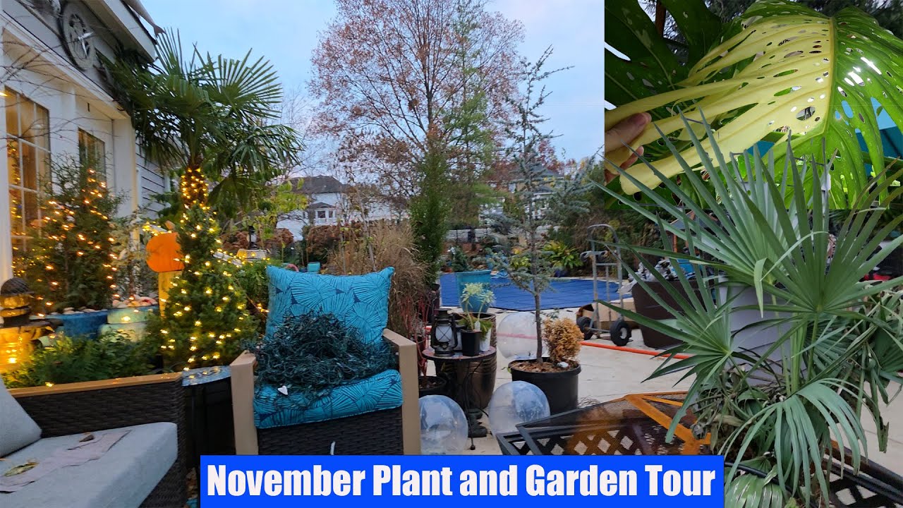 November Garden and Plant Tour - YouTube