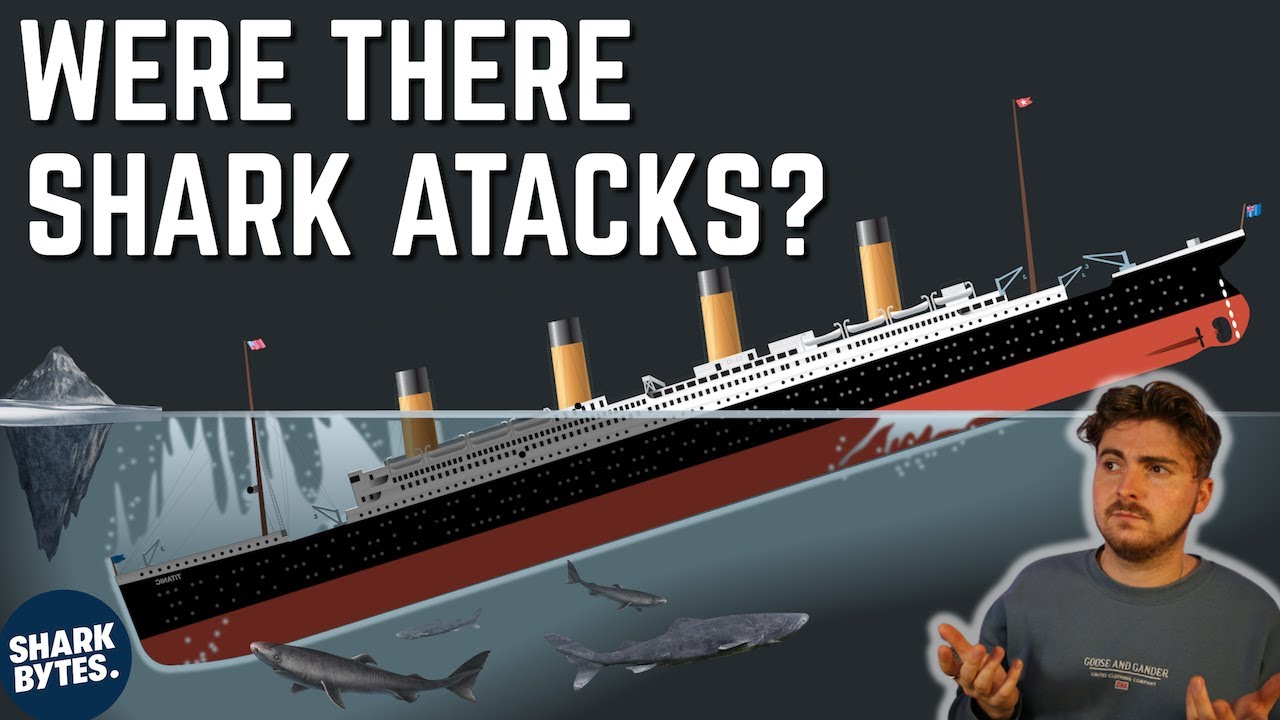 Were there Shark ATTACKS After the TITANIC Sank? - YouTube