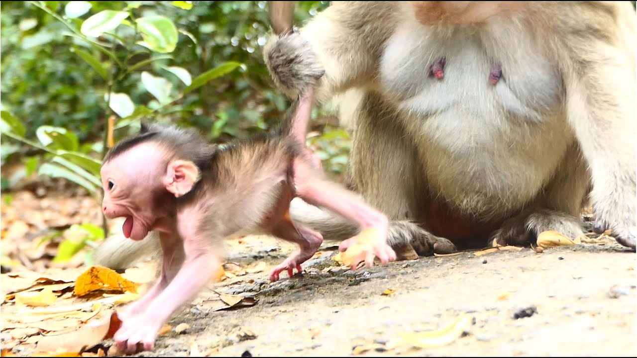 Unbelievable Maddie Raising Up Newborn Monika Return To Back Side On ...