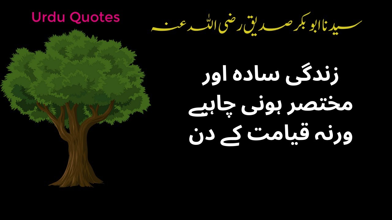 AbuBakar Siddik R.A Quotes | Urdu Quotes | Quotes - YouTube