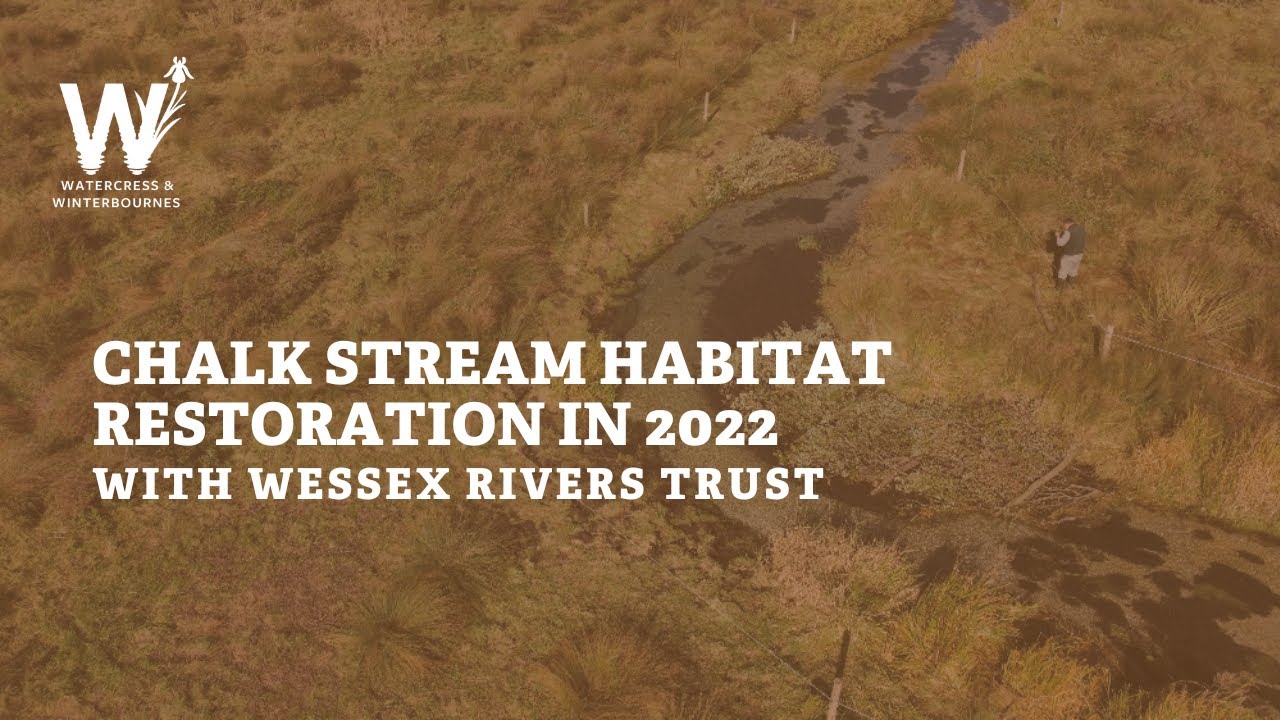Chalk Stream Habitat Restoration in 2022 - YouTube