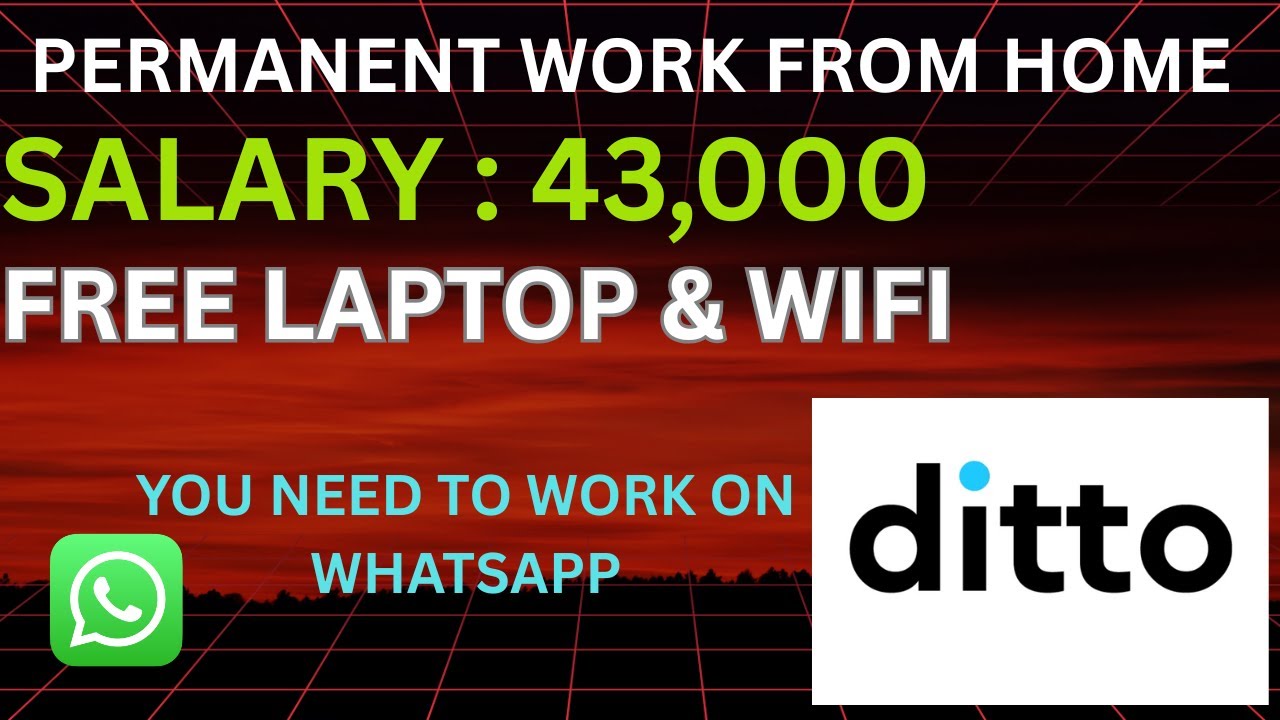 Permanent work from home Jobs | Insurance Advisory | Ditto Careers ...