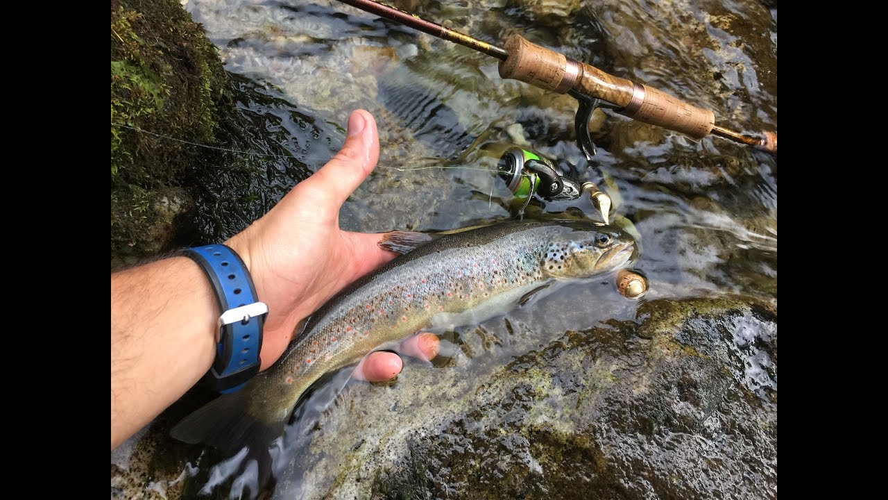 pêche de la truite dans un jolie ruisseau et au lac - YouTube