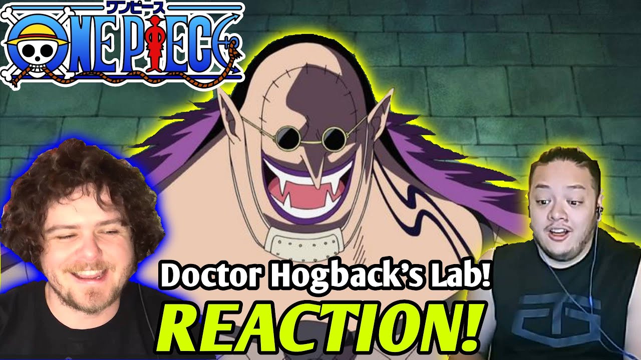 Doctor Hogback's Lab!! One Piece REACTION!! Episodes 340, 441 & 342 ...