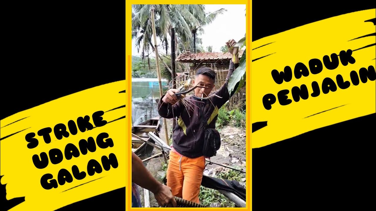 Mancing Udang Galah Waduk Penjalin Youtube