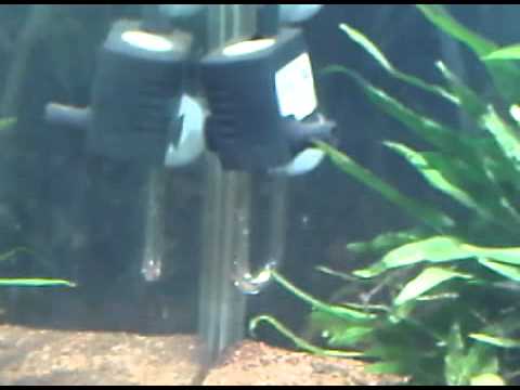 BEST CO2 DIFFUSER - YouTube