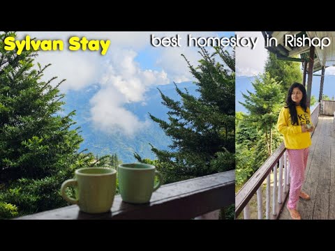 Morning View from Sylvan Stay | Best Homestay in Rishop | Offbeat North ...